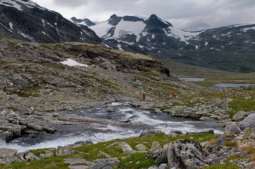 Jotunheim Jotunheim Titled Swissies